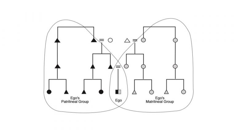 Social Structures: Kinship and Marriage – An Introduction to ...