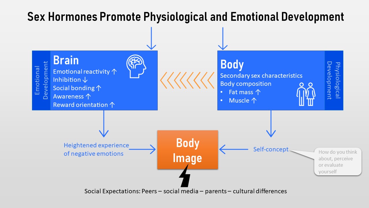 Puberty, Body Image, And Eating Disorders – Nutrition Through the Life ...