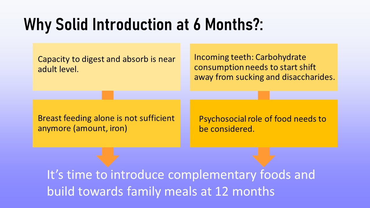 Transitioning to Solids And Family Meals – Nutrition Through the Life Cycle