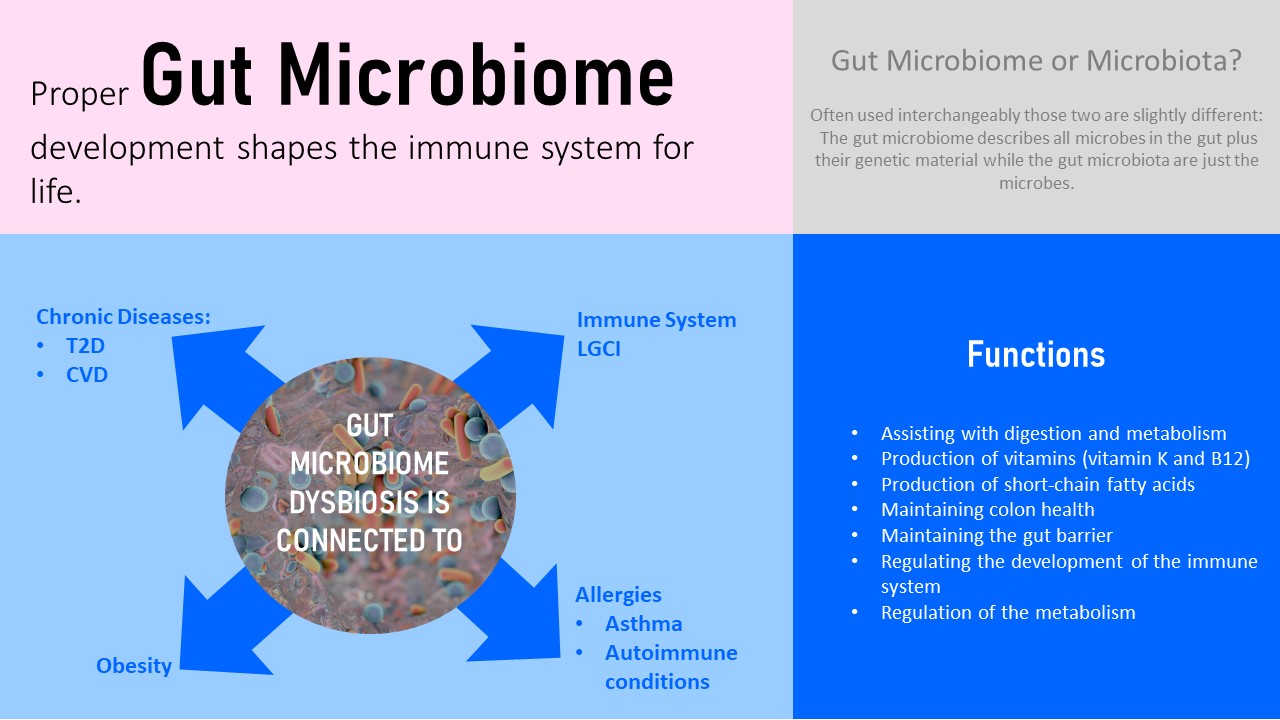 The Road to a Healthy Gut Microbiome – Nutrition Through the Life Cycle