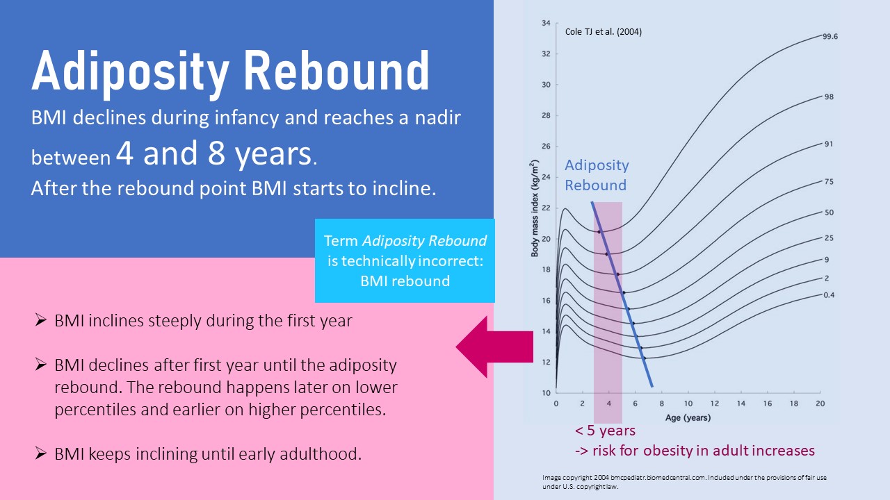 More Critical Periods: Adiposity Rebound And Puberty – Nutrition Through the Life Cycle