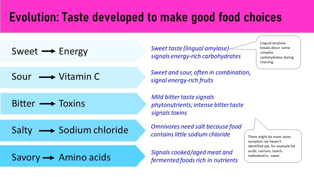 Developing Good Taste – Nutrition Through the Life Cycle