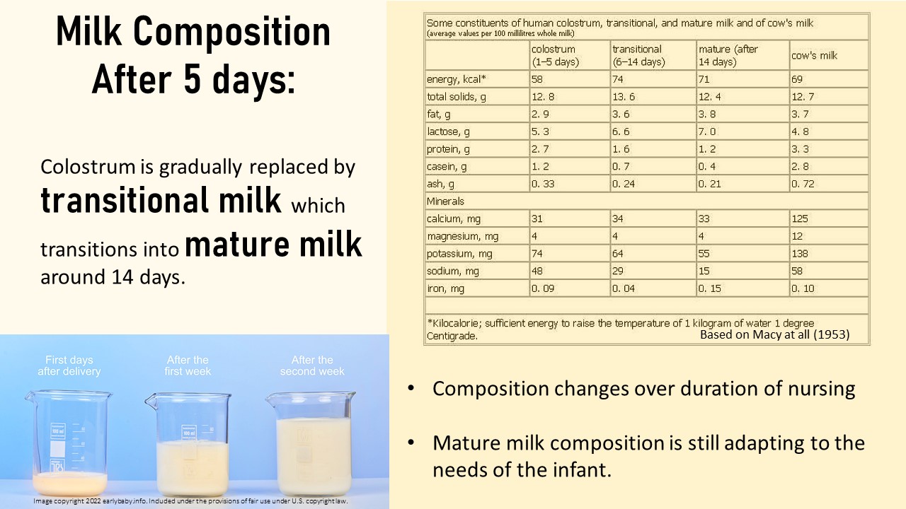 Human Milk Is More Than Nutrition For Infants Nutrition Through The